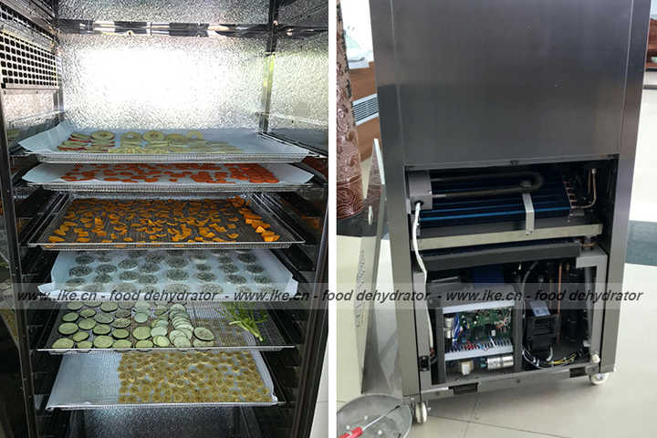 Stainless steel cabinet dryer Food dryer celery tomato potato ...