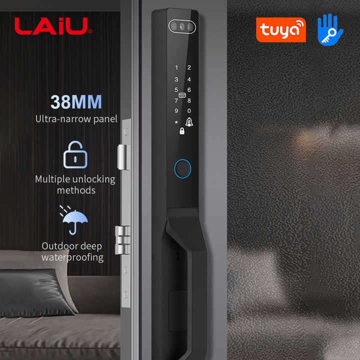 LaiU H2 Waterproof TTLock Tuya Face Recognition APP Smart Locks Sliding ...