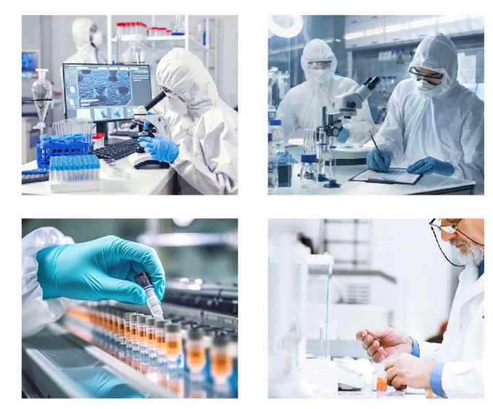 PCH Factory Price Natural Plant He Shou Wu Root Extract Polygonum ...