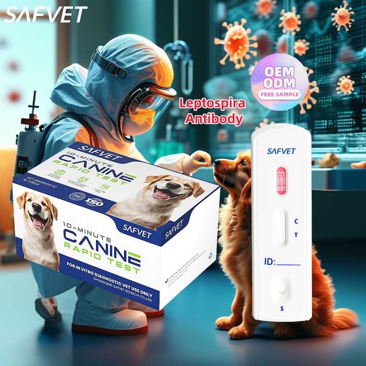 Canine Leptospira Antibody Rapid Lepto Ab Leptospirosis Test Kit ...
