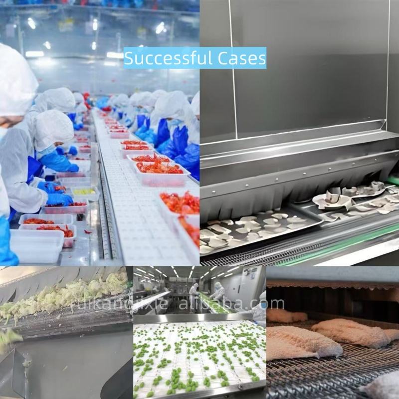 Tunnel Blast Freezer Industrial French Fries Seafood Blueberry IQF ...