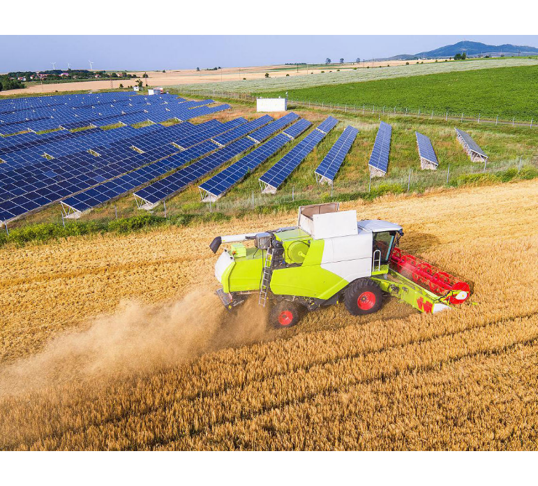 Agricultural Napier Silage Corn Grain Harvester Wheat Machine Silage ...