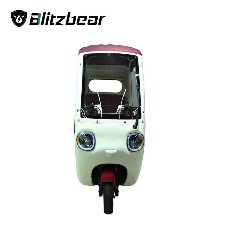 Factory New Adult Electric Tricycle Open Body Type with Covered ...