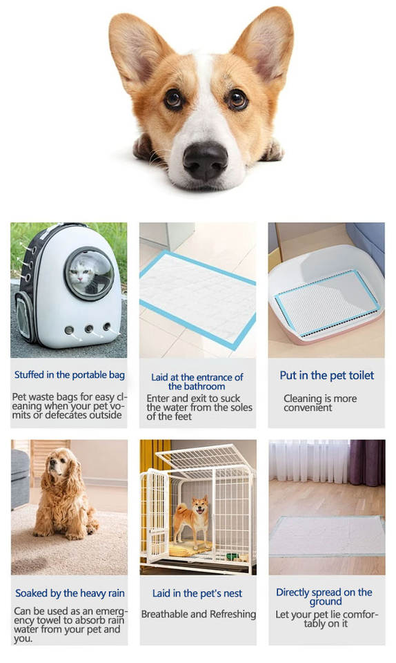 Dog Pee Pad High Quality Water Absorbent Disposable Incontinence ...