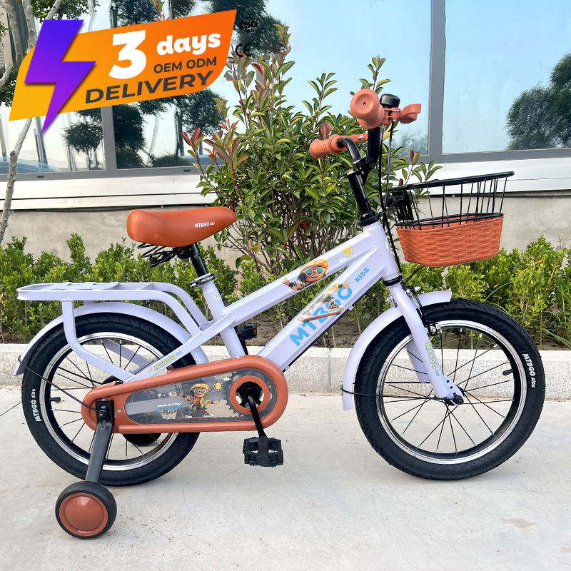 How to Choose the Best Mini Bike Rolling Chassis: A Complete Buying Guide