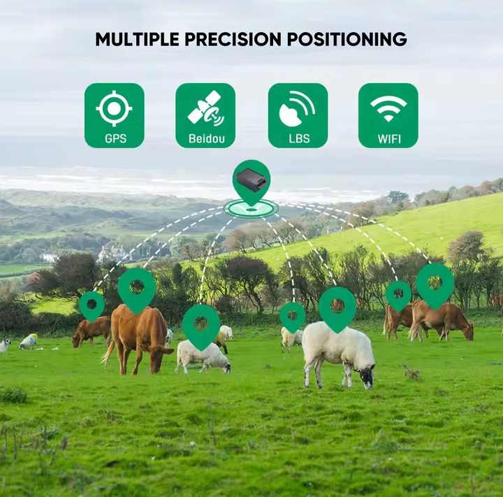 SAFEPOINT HCS028 Solar Powered 4G GPS Tracker Mini B38 Animal Tracker for Cattle Sheep Cow ...