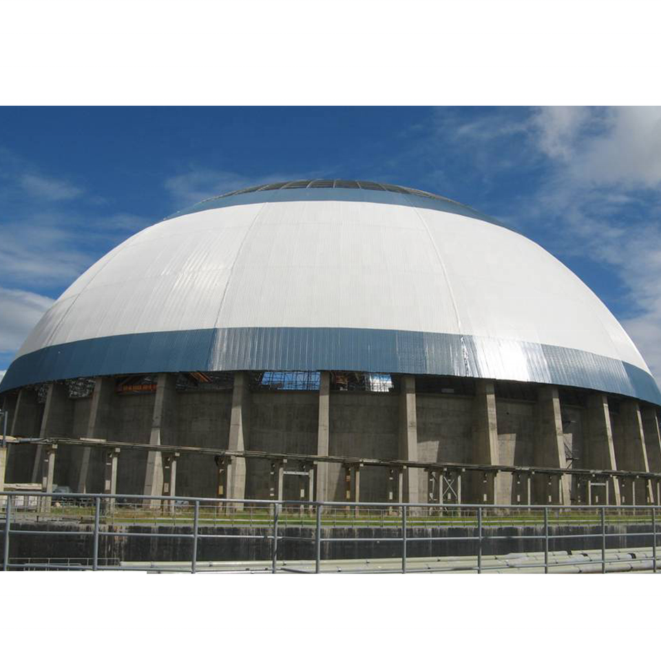 LF Long Span Structures Bulk Storage Solutions Space Frame Coal Shed ...