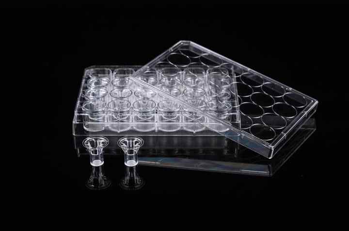 8um PET Membrane 12-Well Transwell Inserts for Cell Culture
