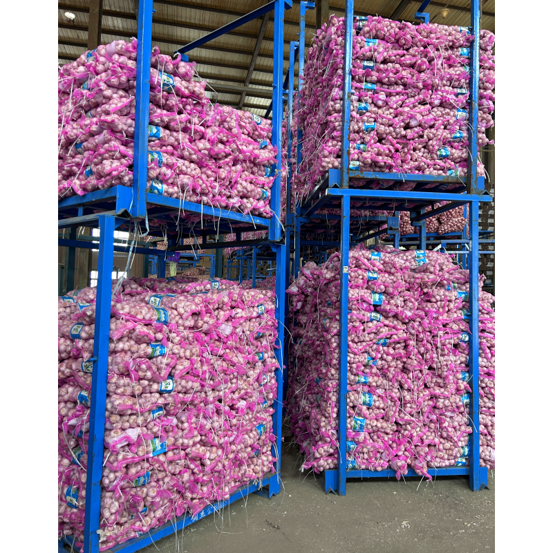 Fresh Garlic New Crop Normal White and Pure White Supply From China ...