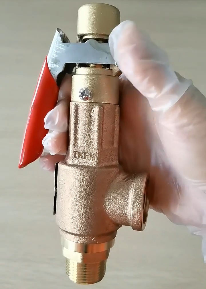 Flanged Brass Safety Valves - High Temperature Resistant