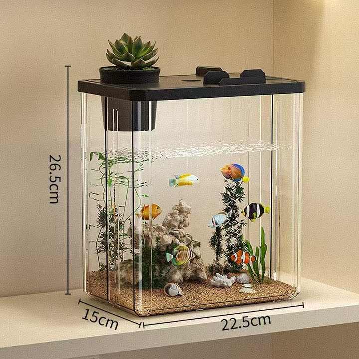 Ecological Fish Tank Large Size - Transparent Acrylic