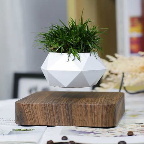 Magnetic Levitating Plant Pot Floating Plant Magnetic Levitation ...