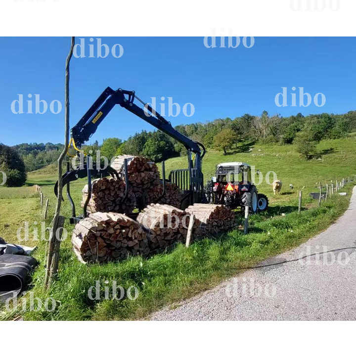 High Quality Timber Trailer Hydraulic Crane Forestry Woods Forwarding ...