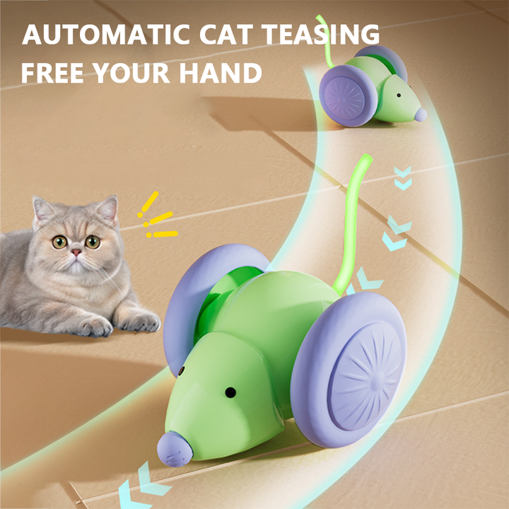 Smart Eco-Friendly Pet Toy Battery Operated Induction Cat Toy Car ...
