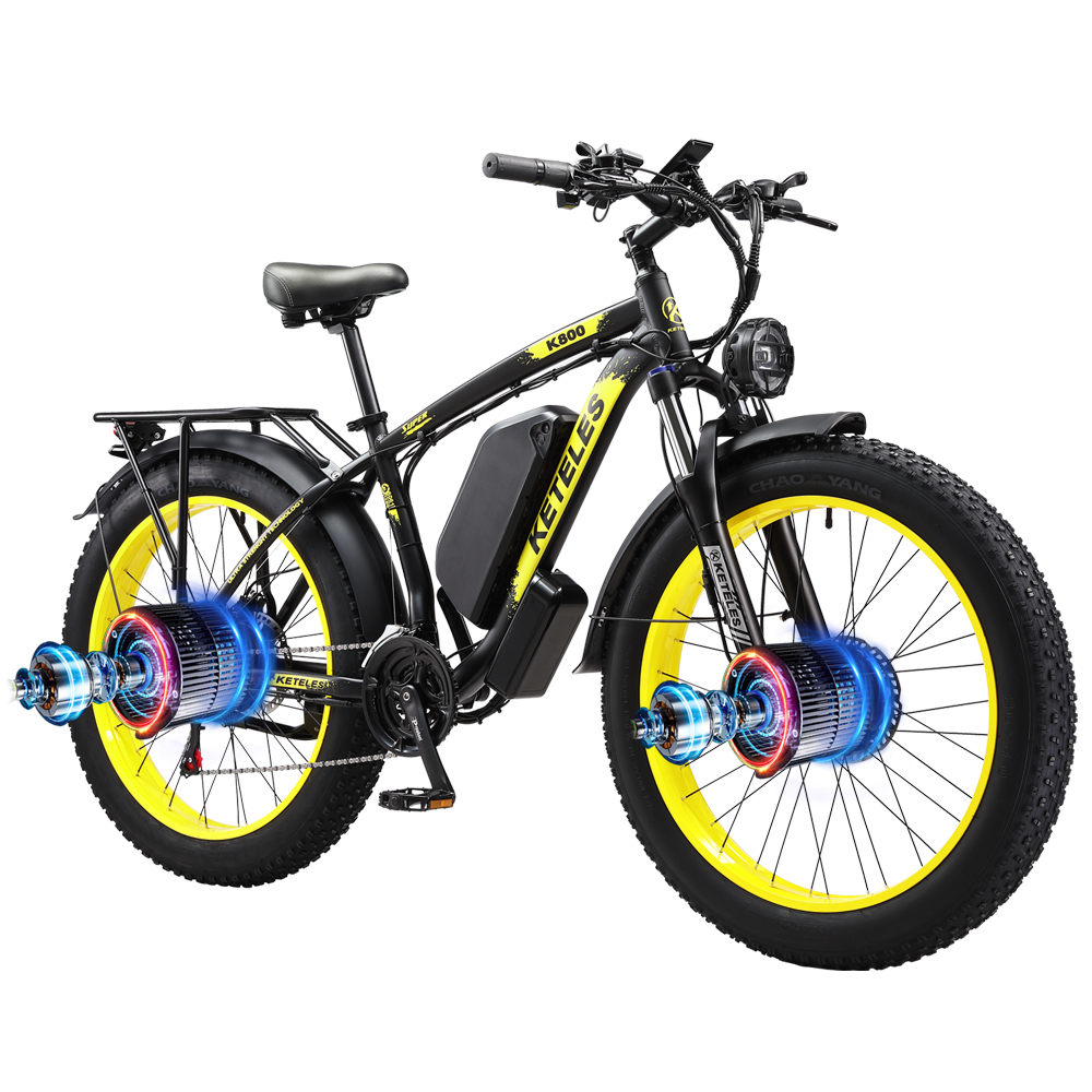 How to Choose the Best Twin Motor Ebike: A Complete Buying Guide
