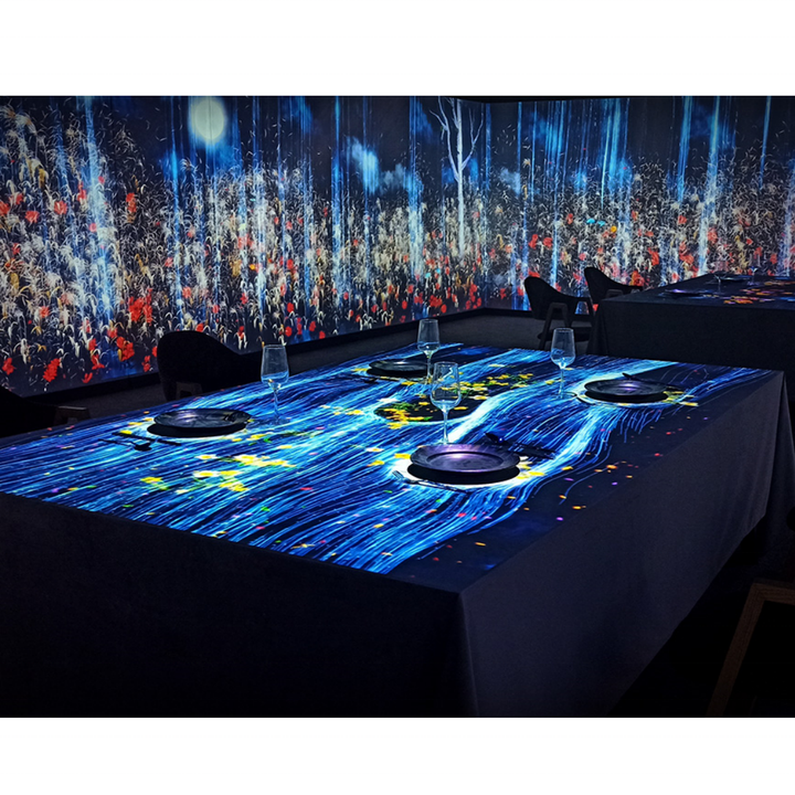 Non-tensioned 3D Holographic Mesh Projector Screen - 10x30m