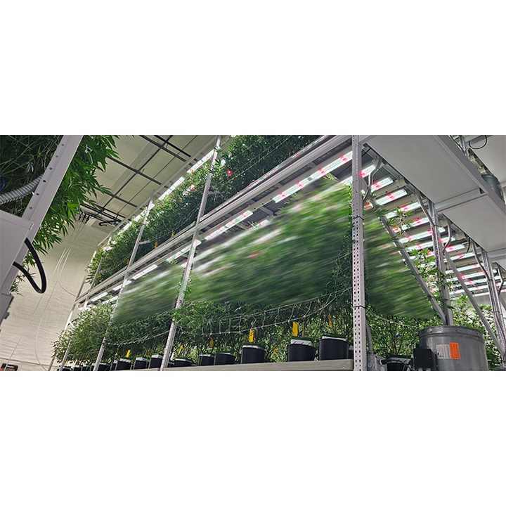 3 Tier Grow Tables Hydroponic Growing System Vertical Grow Rack ...
