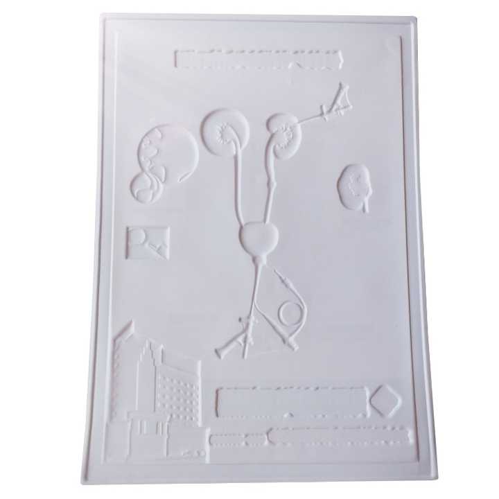 High Quality Embossed Poster - Anatomy Chart Medical Display