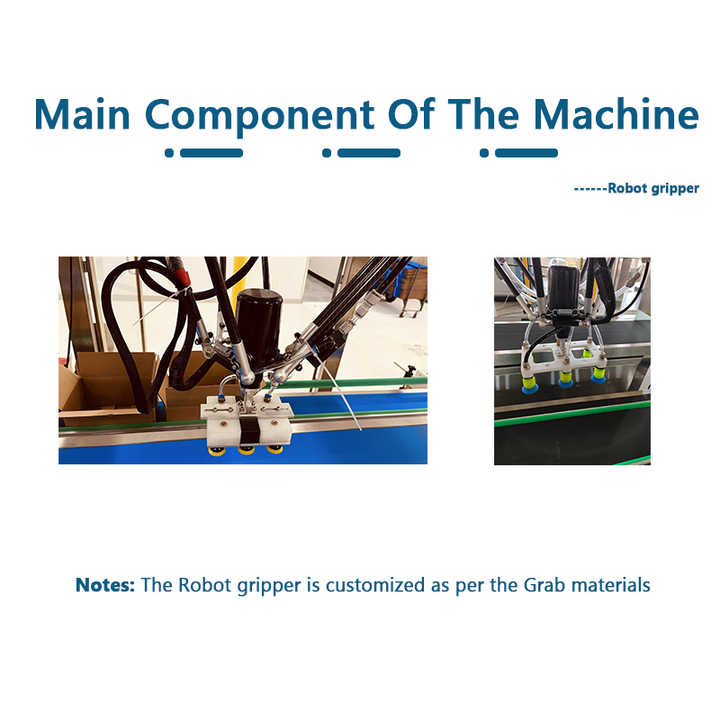 Spider Hand Sorting Robot Carton Box Former Pick and Place Compact ...