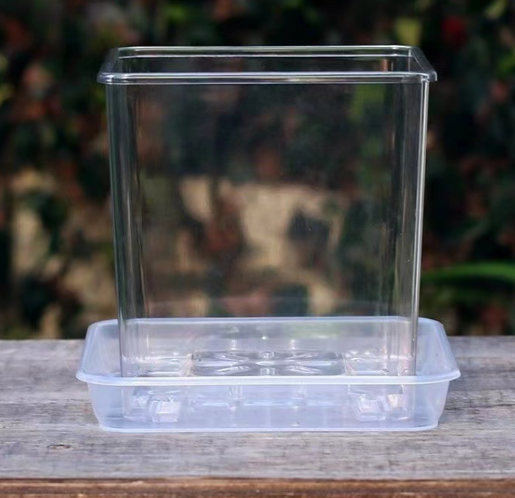Phalaenopsis Special Pot for Home Use Acrylic Transparent Square Basin ...