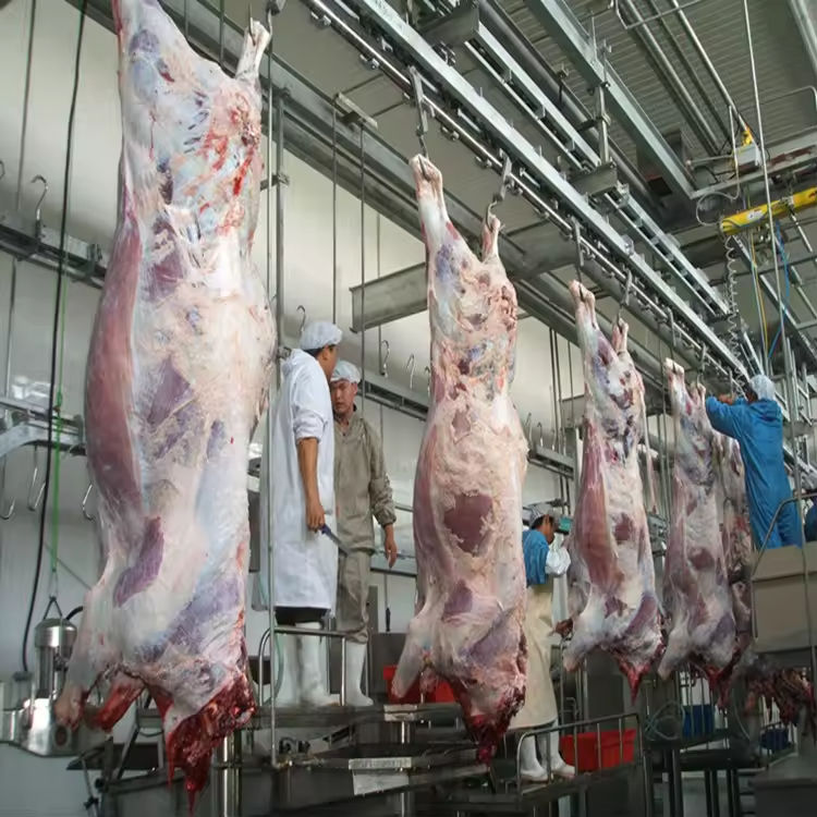 One-stop Solution Cattle Slaughter Plant Full Set Cow Abattoir ...