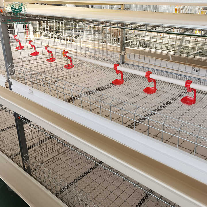 Automated Broiler Chicken Cage Equipment - H Type