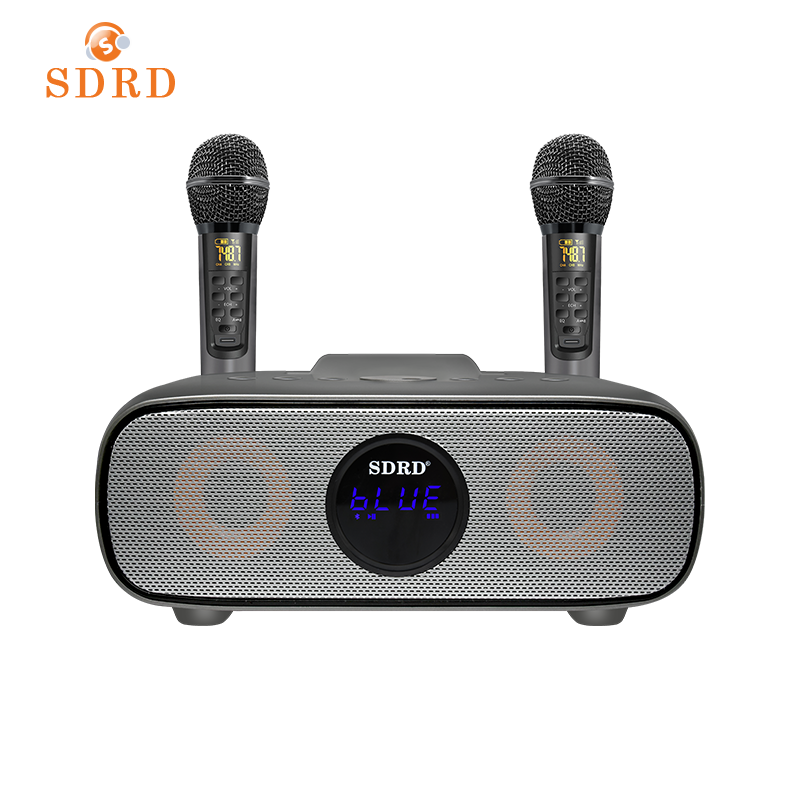 SDRD SD316 Karaoke Maschine mit 2 Mikrofonen & Wireless Charging