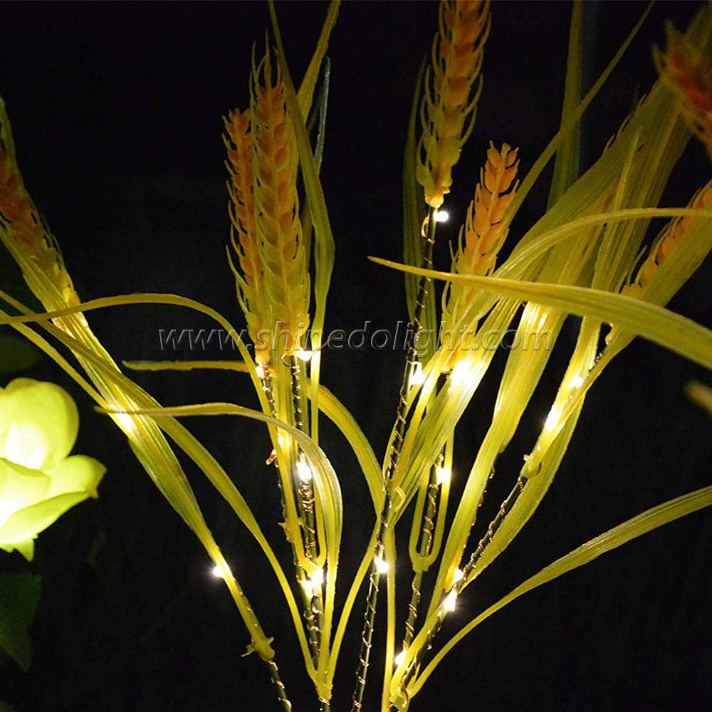 How to Choose the Best Rice Light for Your Photography Setup