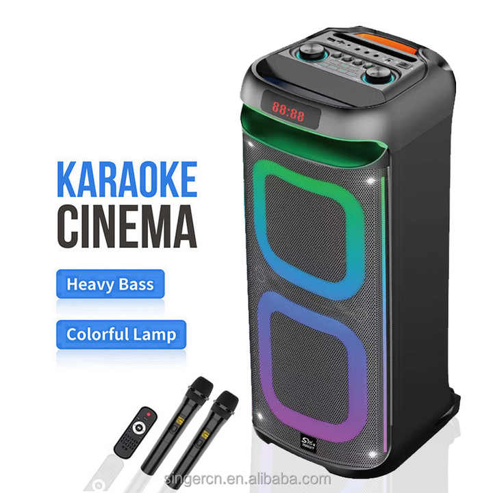 40W Dual 8 Inch Party Box Speaker - Super Bass & LED Lights