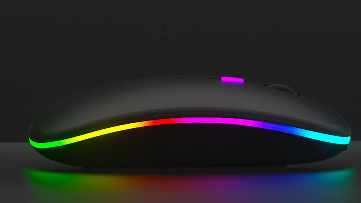 Type C ABS Dual Mode 2.4g Wireless Led Mute Ergonomic Computer Mouse ...