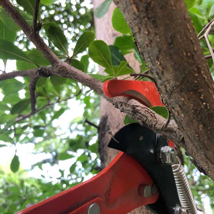 Aluminum Telescopic Pole Extension Tube for Tree Pruner| Alibaba.com