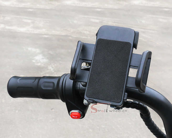 Citycoco E Chopper Electric Golf Cart Scooter 45km/h Range 60km EEC ...