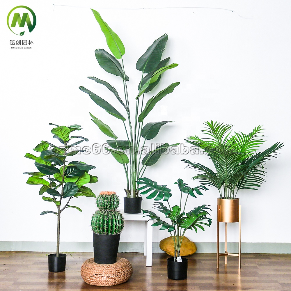 How to Choose the Best Hyper Real Plants for Your Space