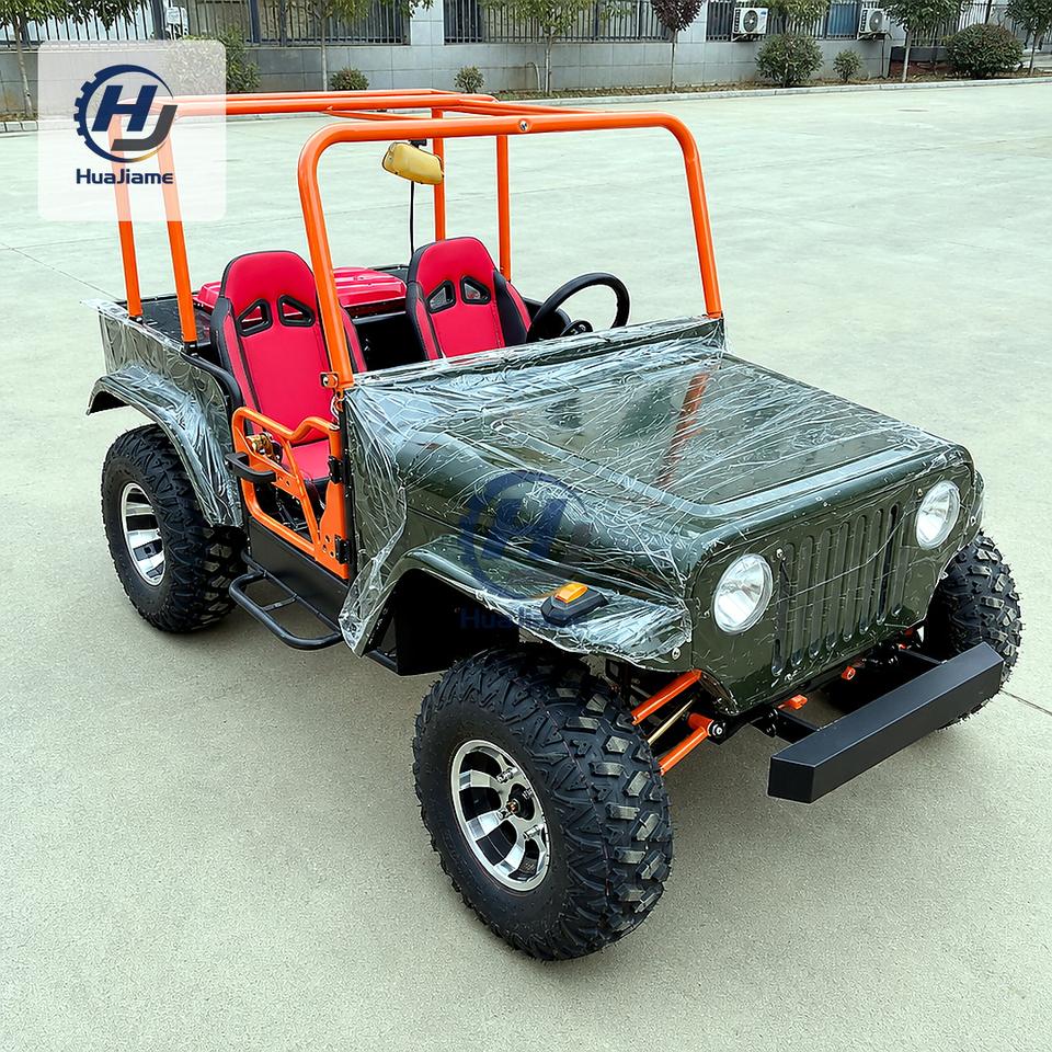 Reliable 250CC 4 Stroke Willis Buggy Adult Adventure Kart Extreme Off ...