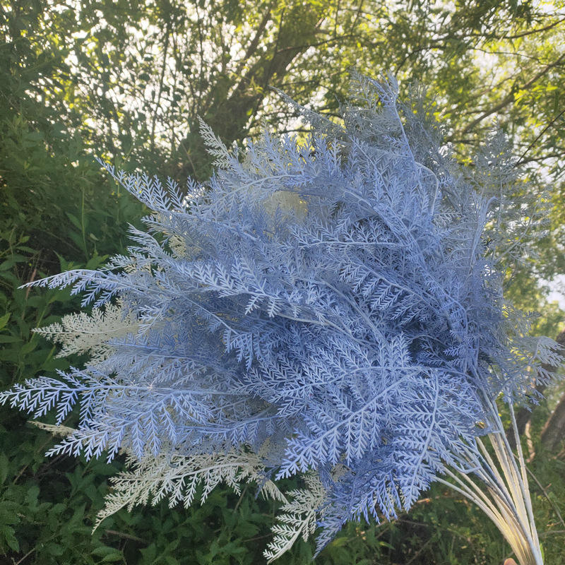 How to Choose the Best Mimosa Flowers for Your Needs