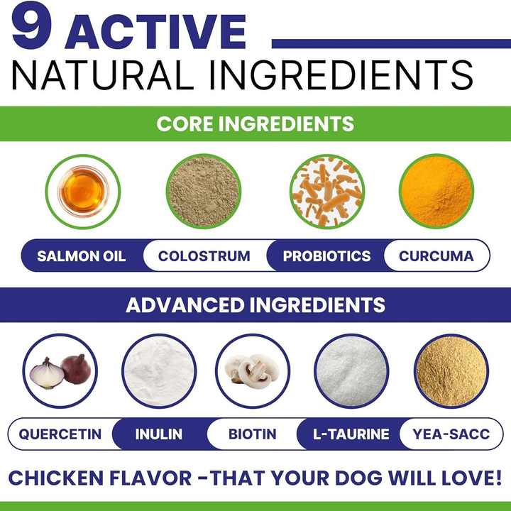 Allergy Relief Immune Chews for Dogs and Cats Cross-Border Skin Support ...