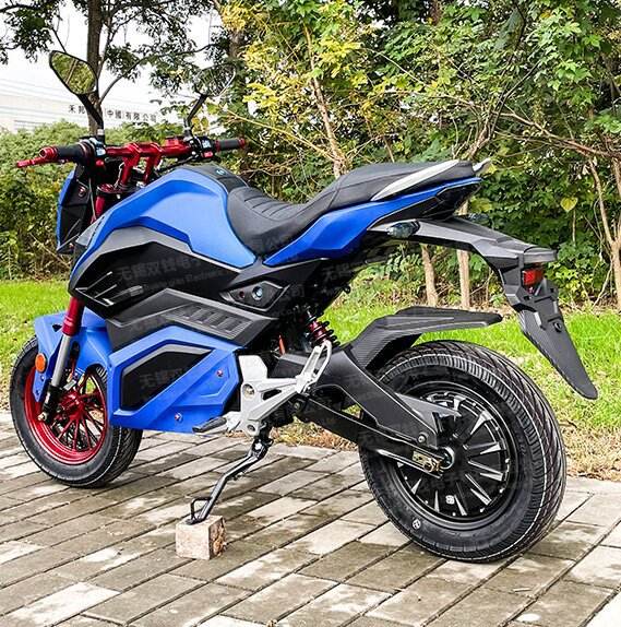 Z6 Electric Motorcycle 2000W High-Power E-Motorcycle Sporty Cool 96V ...