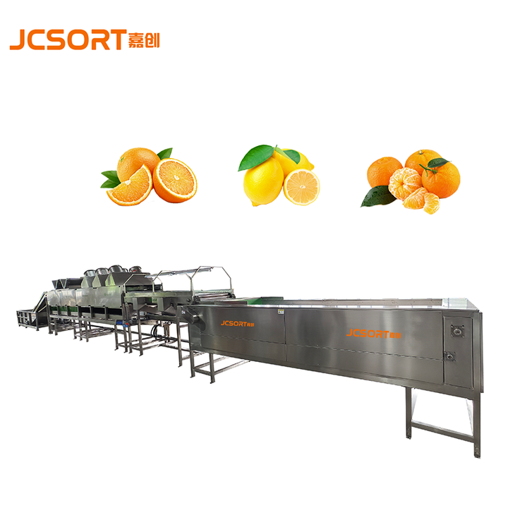 Lemon Grading Machine with Washing Waxing System | JC SORT Optical Sorting Line for Citrus ...