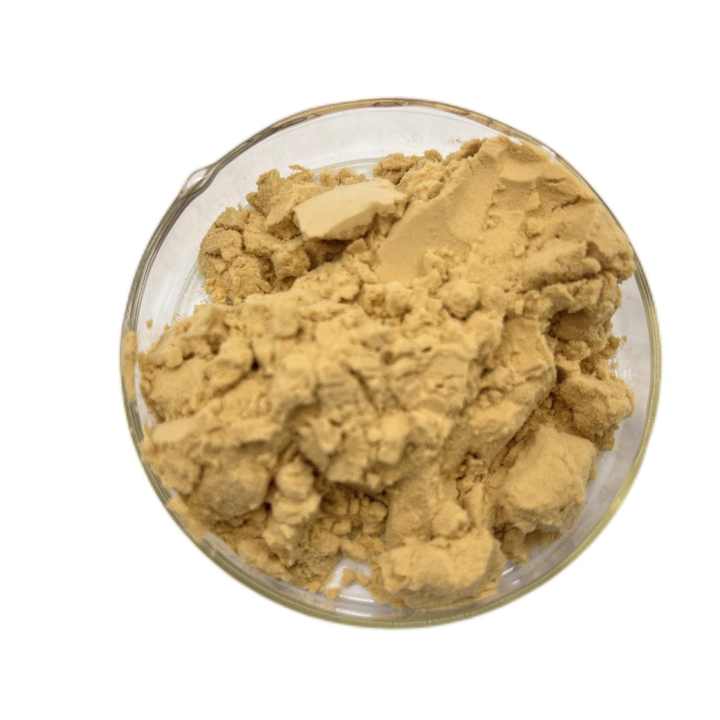Euglena Gracilis Powder | Pure Brown Powder for Health Food | OEM Available