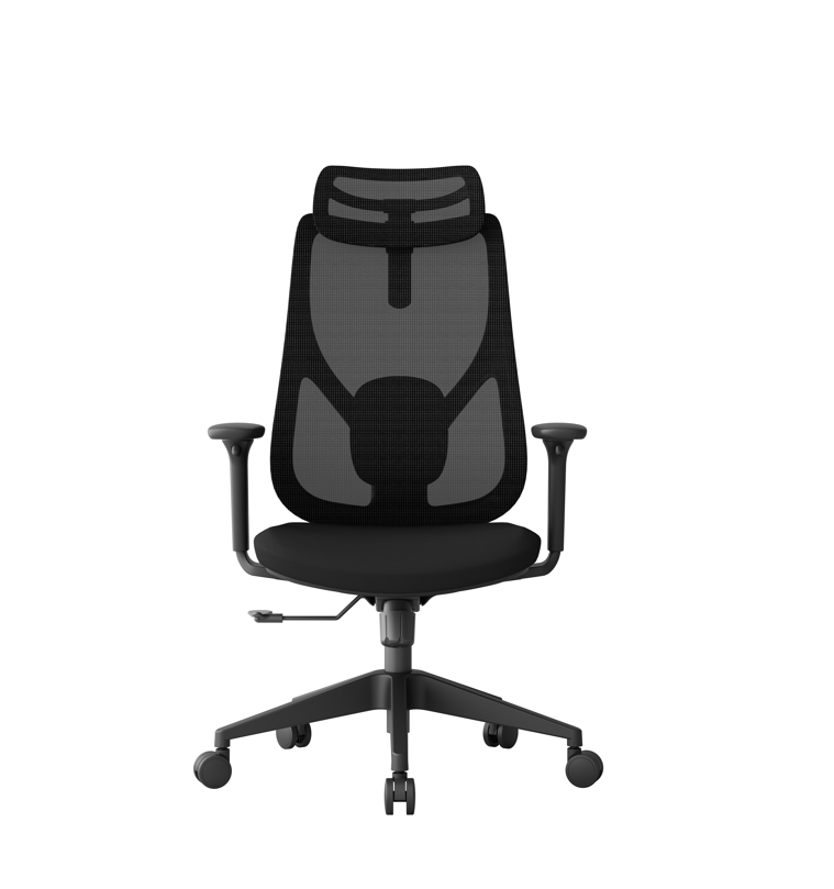 Ergonomic Mesh Office Chair 2D Adjustable Headrest 3-Level Safety Gas ...