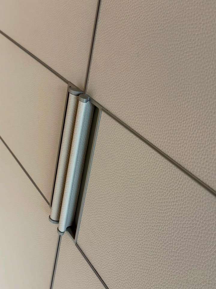 Custom Modern Leather Paneled Walk-In Closet Glass Partition Wardrobe ...