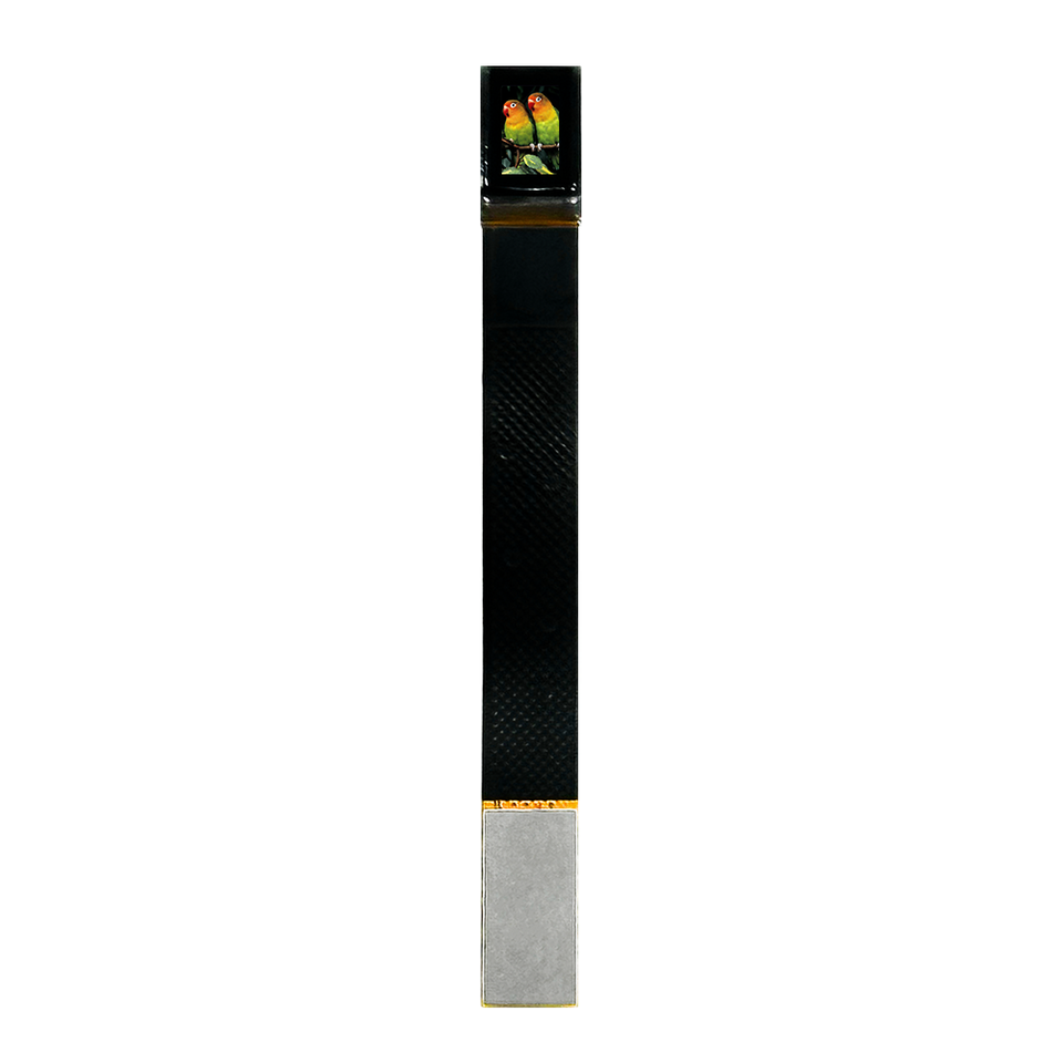 Seeya Microoled 0.32 Inch 800x600 2000nits Display Module