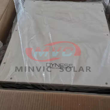 Dyness DL5.0C 51.2V 100AH Lifepo4 Battery 6000 Cycle 95%DoD 1C Discharging Wall Mounted Solar ...