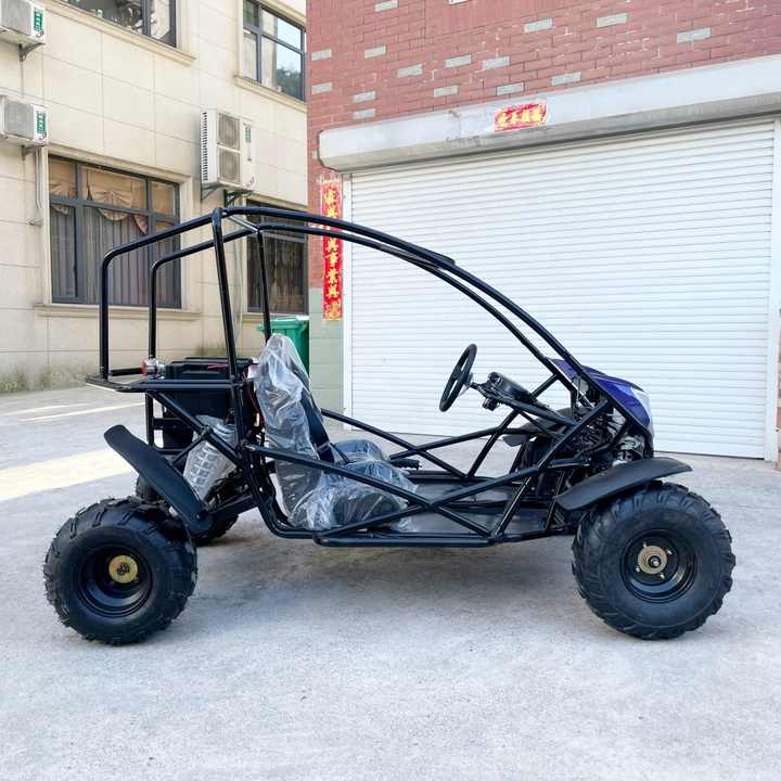 LNA high torque 2000w electric buggy for adults strong torque electric ...