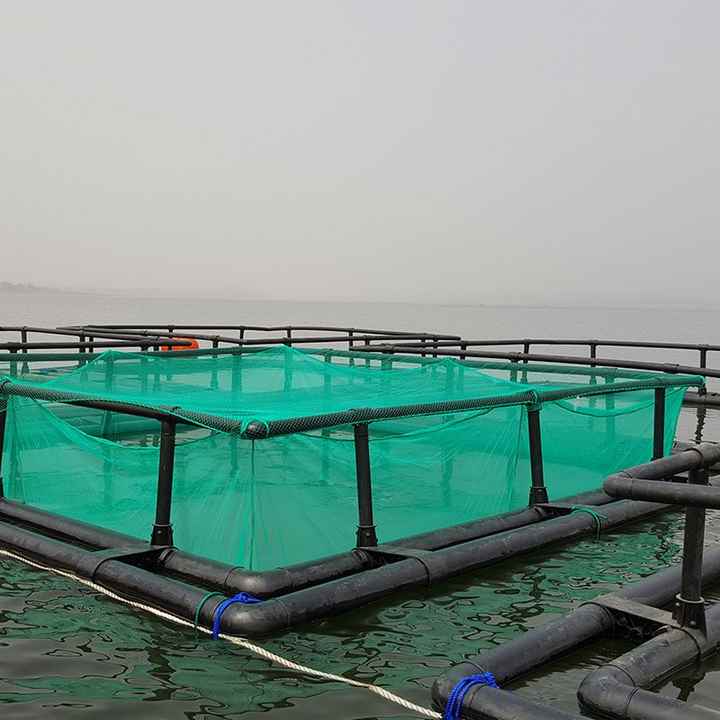 Qihang Fish Cages - Durable, Customizable Aquatic Solutions