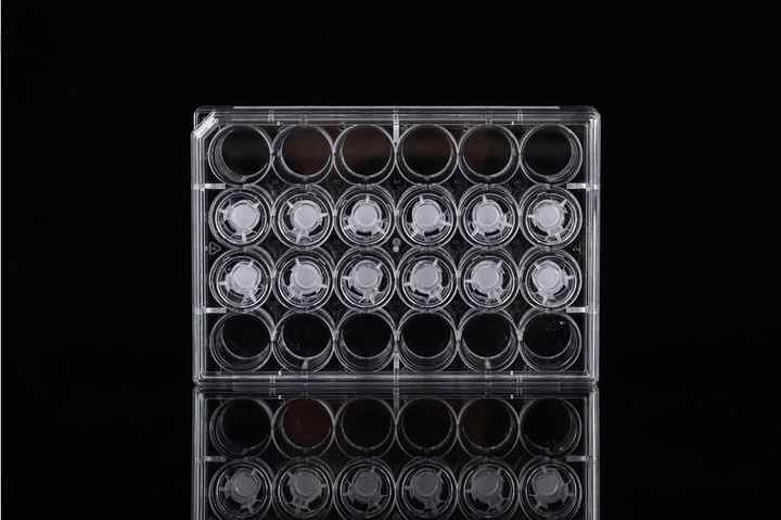 8um PET Membrane 12-Well Transwell Inserts for Cell Culture