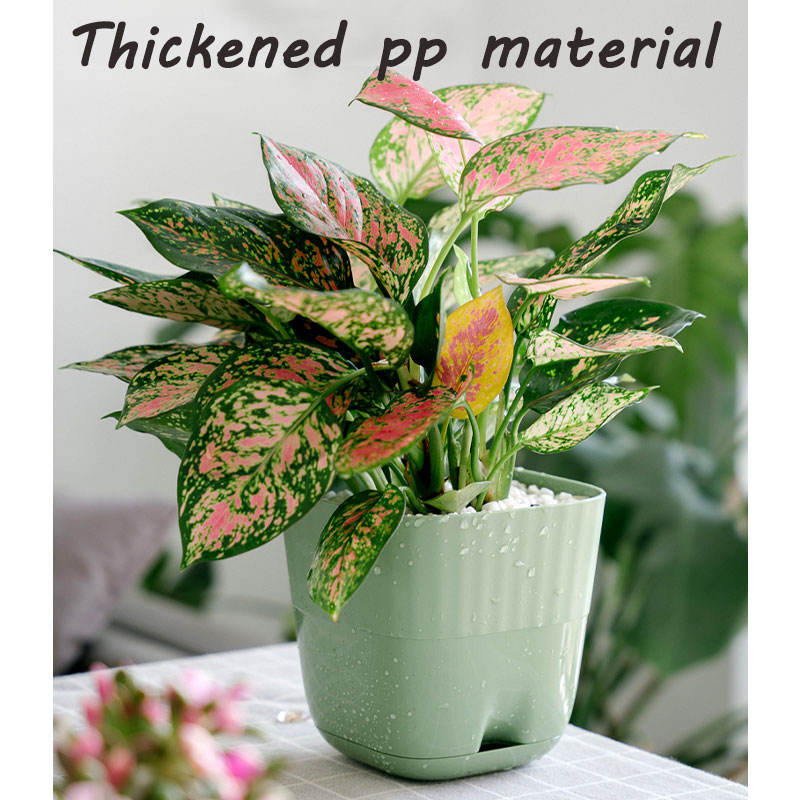 How to Choose the Best Plant Pot 15cm White: A Complete Buying Guide