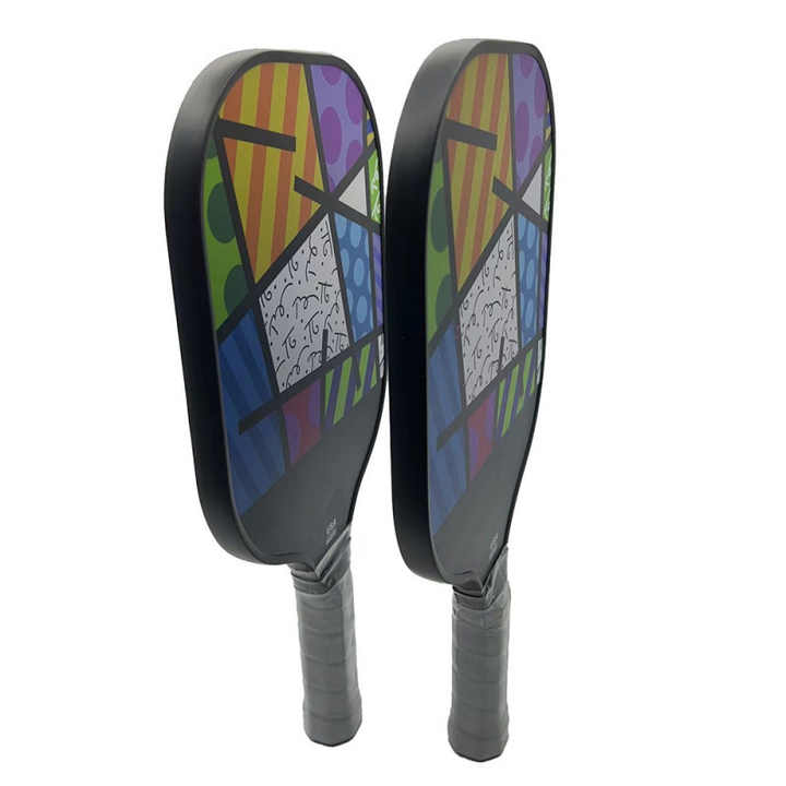 Portable Durable Carbon Fiber Pickleball Racket Set for Kids for Home ...