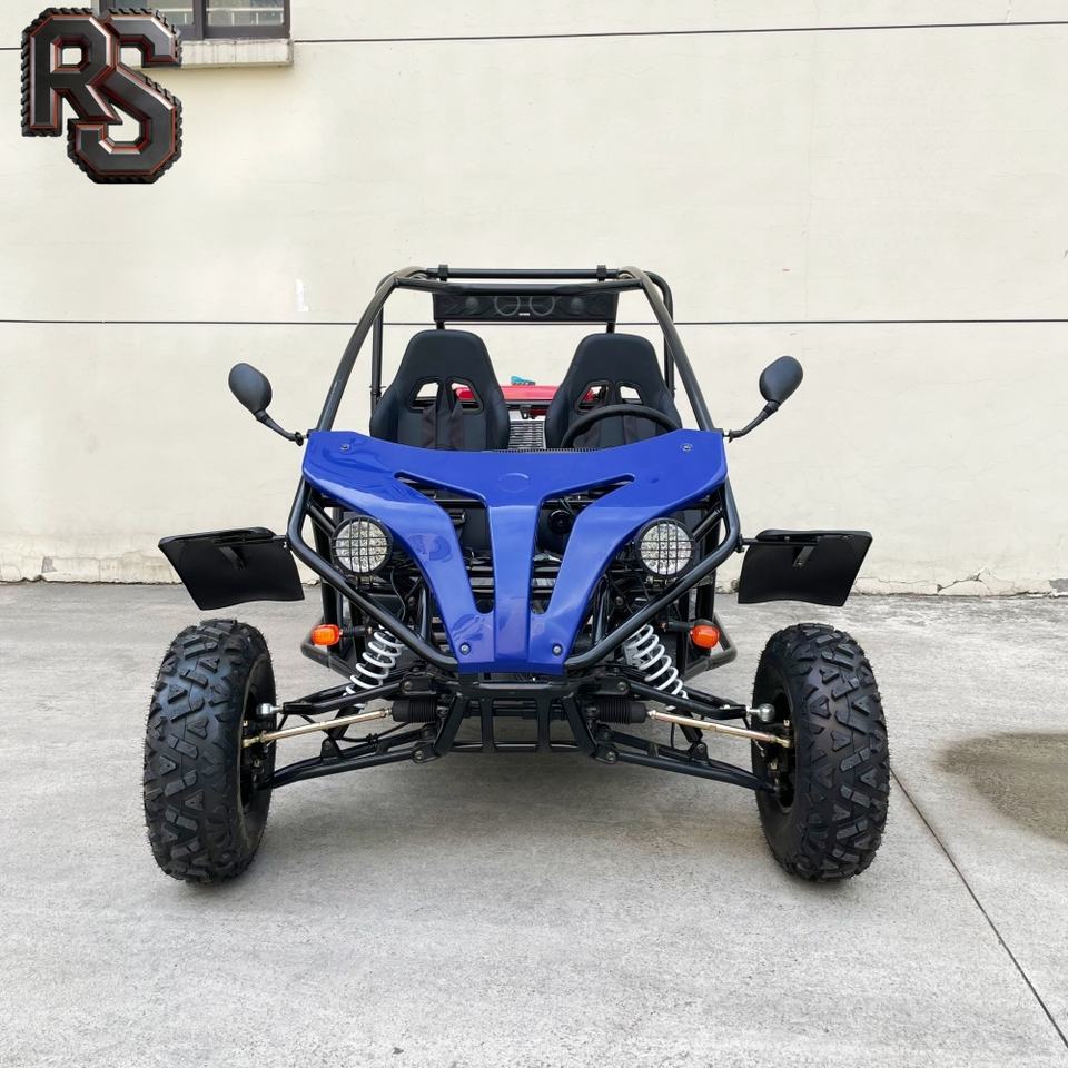Raxen Gas Engine 200cc Go Karts for Sale Roll Cage for Weekend Off-road ...