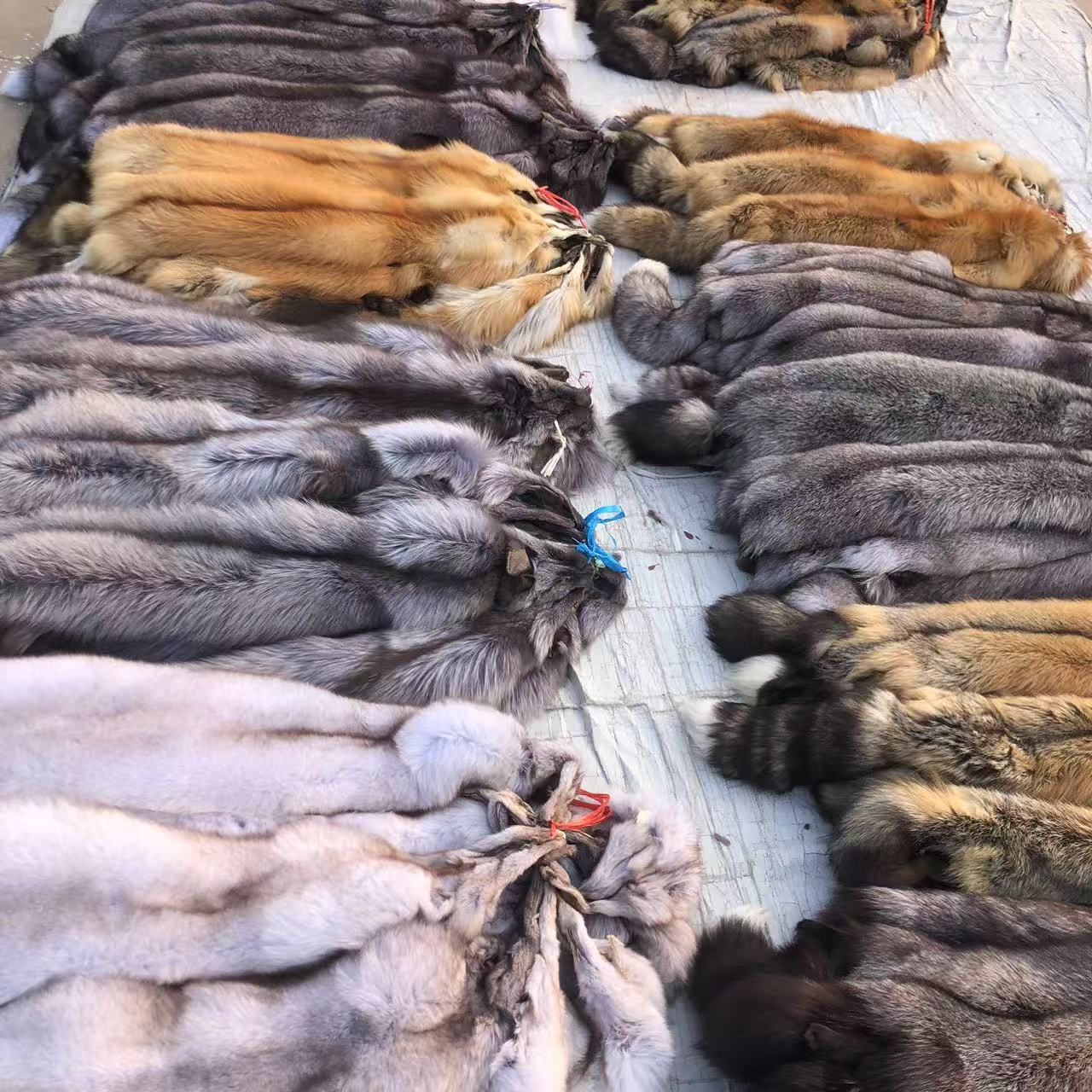 Wholesale Red Fox Skin - Natural Fur for Garments & Accessories
